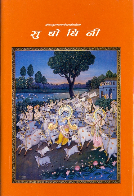 Bhagwat Vyakhya - Pusti